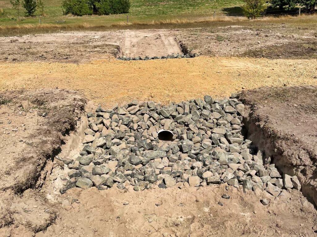 Tree Pruning - ☎️ 1800 GO TREES