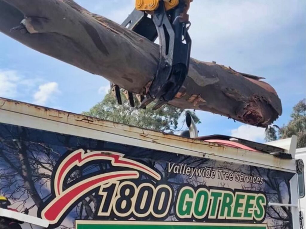 Valleywide Tree Services Latrobe Valley & Gippsland - ☎️ 1800 GO TREES