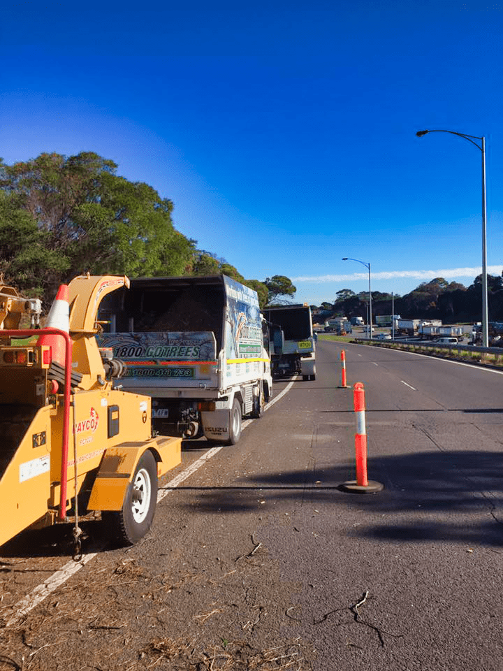 Wood Chipping - ☎️ 1800 GO TREES