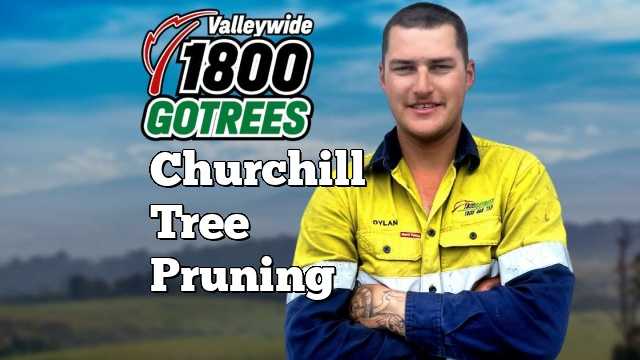 Churchill Tree Pruning - ☎️ 1800 GO TREES