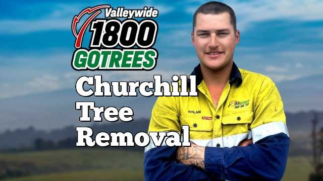 Churchill Tree Removal - ☎️ 1800 GO TREES