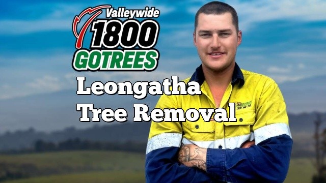 Leongatha Tree Removal - ☎️ 1800 GO TREES