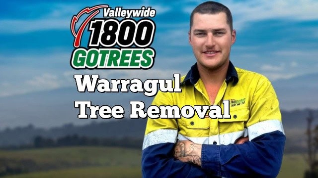 Warragul Tree Removal - ☎️ 1800 GO TREES